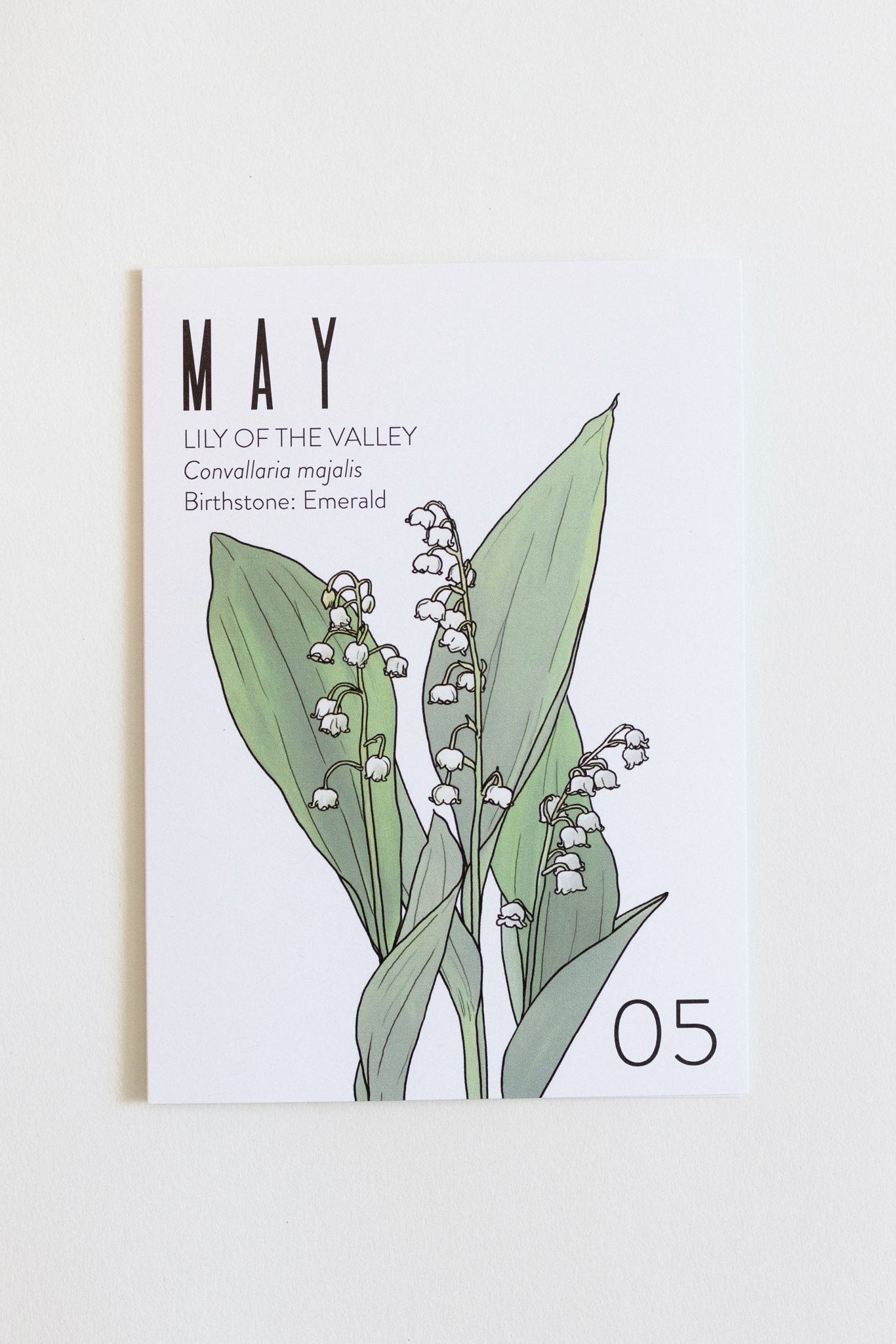 Greeting Card: May Birth Month Flower – WildFlora